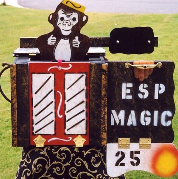 The Gypsy Prophet - Goswicks Magic Books